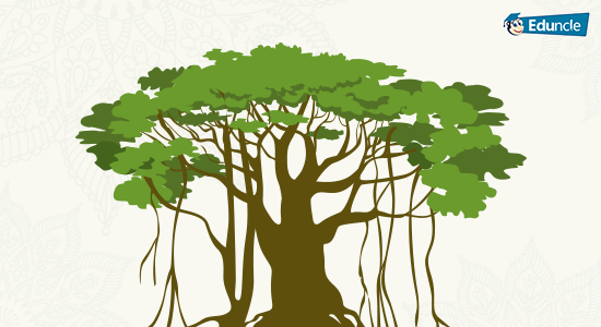 National Symbols of India, their Importance & History [Complete List]