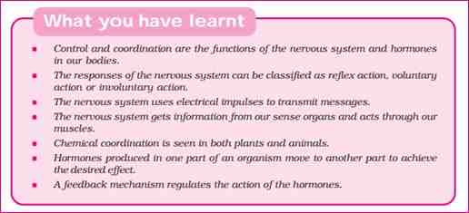 CBSE Class 10 Books - List of NCERT & Best Reference Books for 2019-20