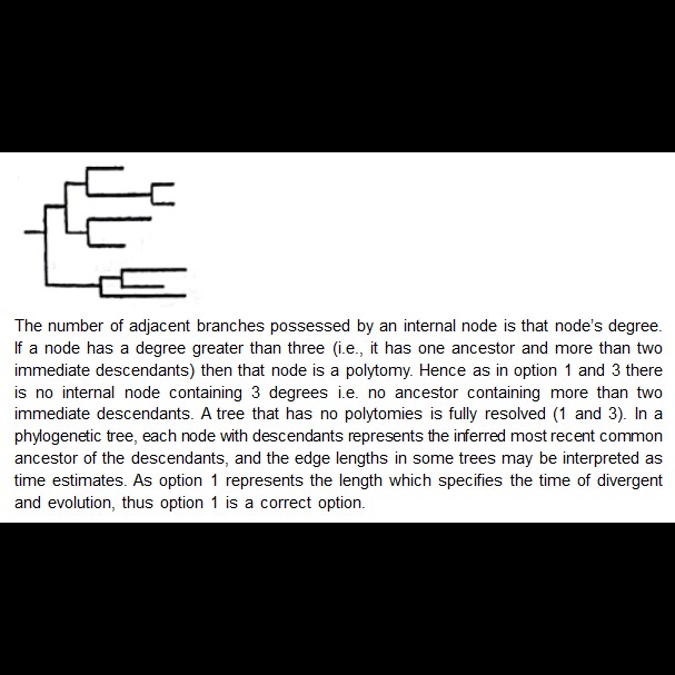 Which one of the following trees represents a fully resolved phylogram