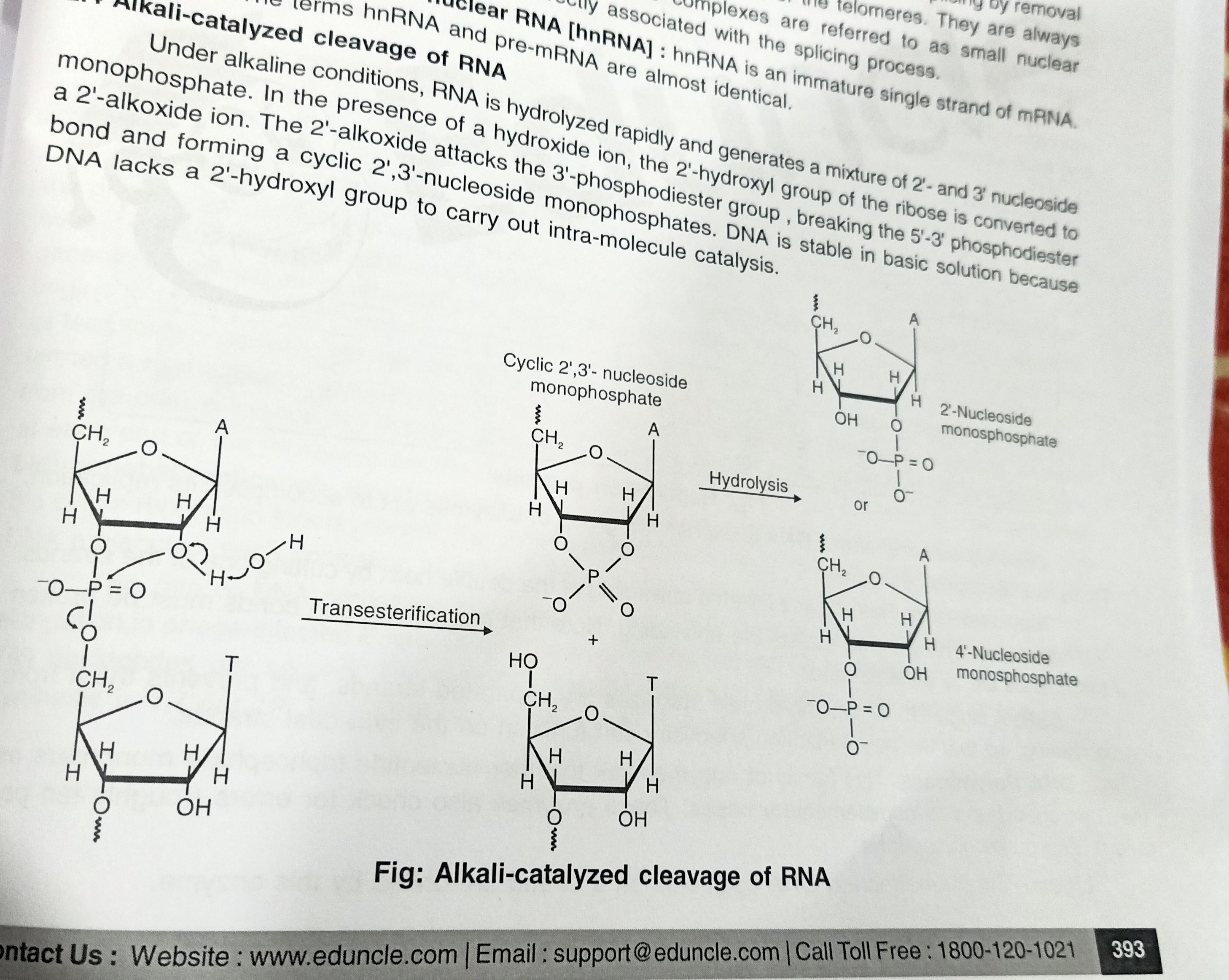 Alkali catalyzed cleavage of rna
