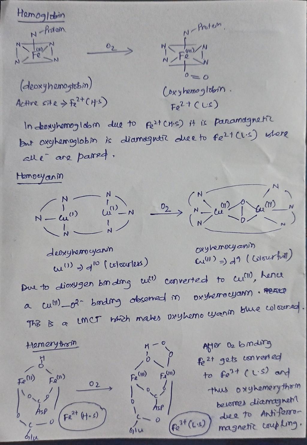 What are the changes that occur in haemoglobin, haemocyanin and ...