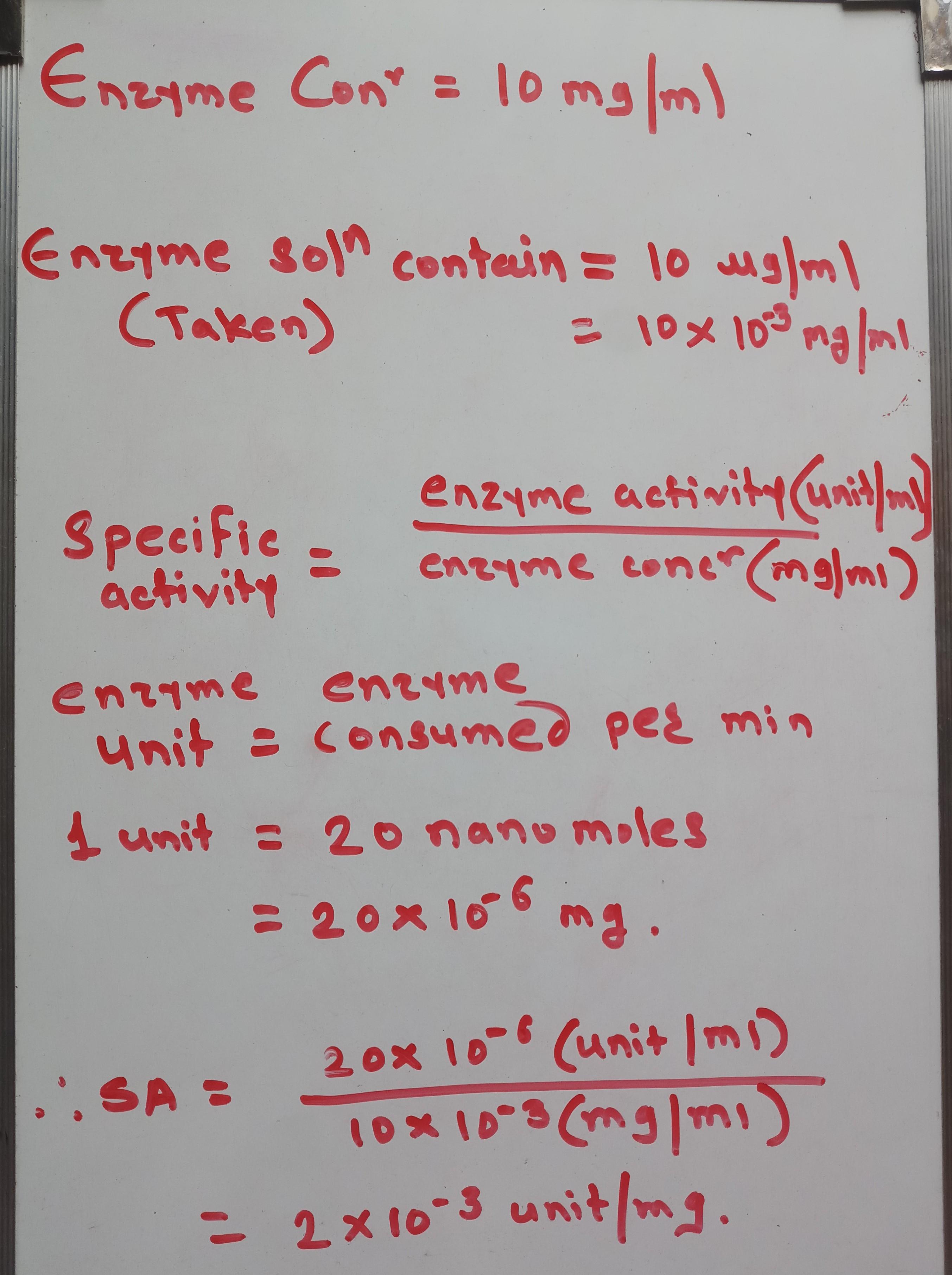 The Concentration Of A Purified Enzyme Is 10 Mg ml Ten Microlitres Of The Concentration Of A Purified Enzyme Is 10 Mg ml Ten Microlitres Of