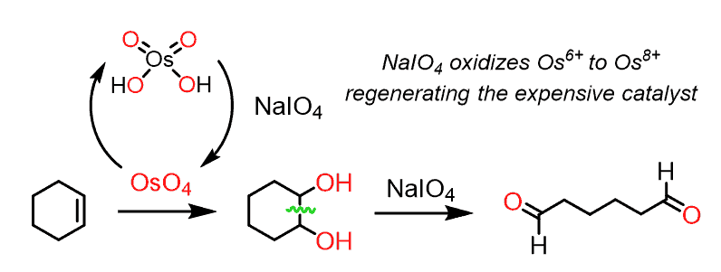 Number of possible intramolecular aldol products possible (excluding ...