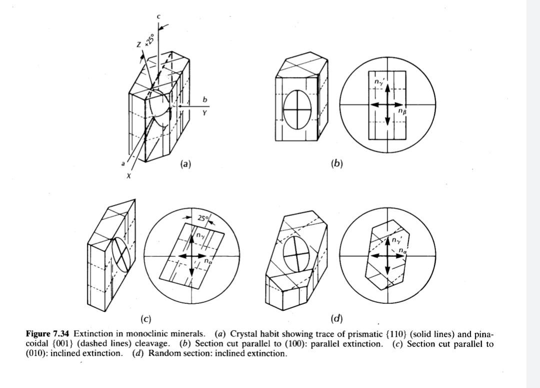 206. inclined extinction is shown by: a calcite b. basal section of ...