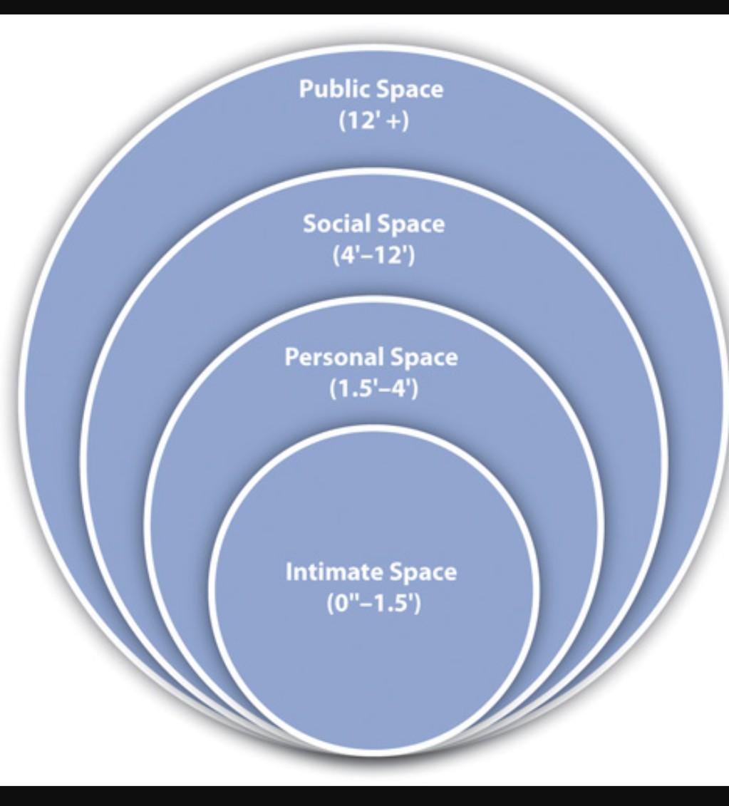 Mam please explain me proxemics with xamples