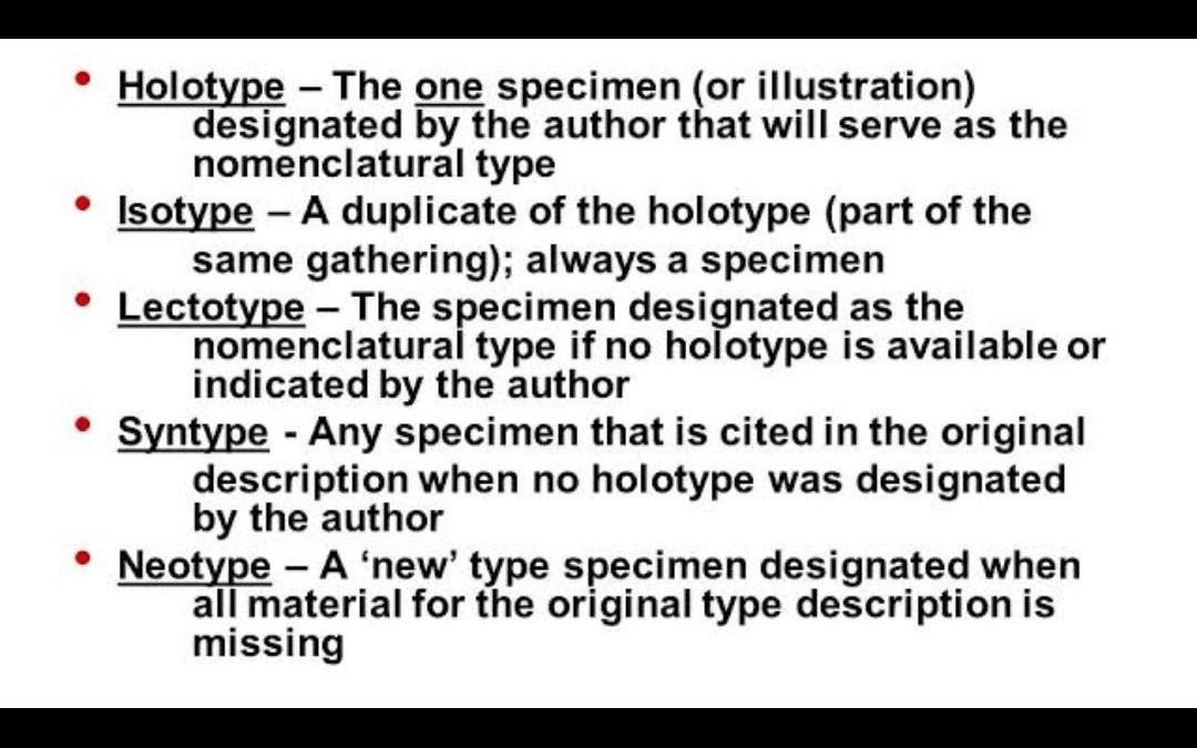 I couldn't understand the nomenclature types that is the holotype ...
