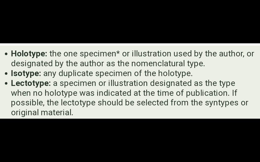 I couldn't understand the nomenclature types that is the holotype ...