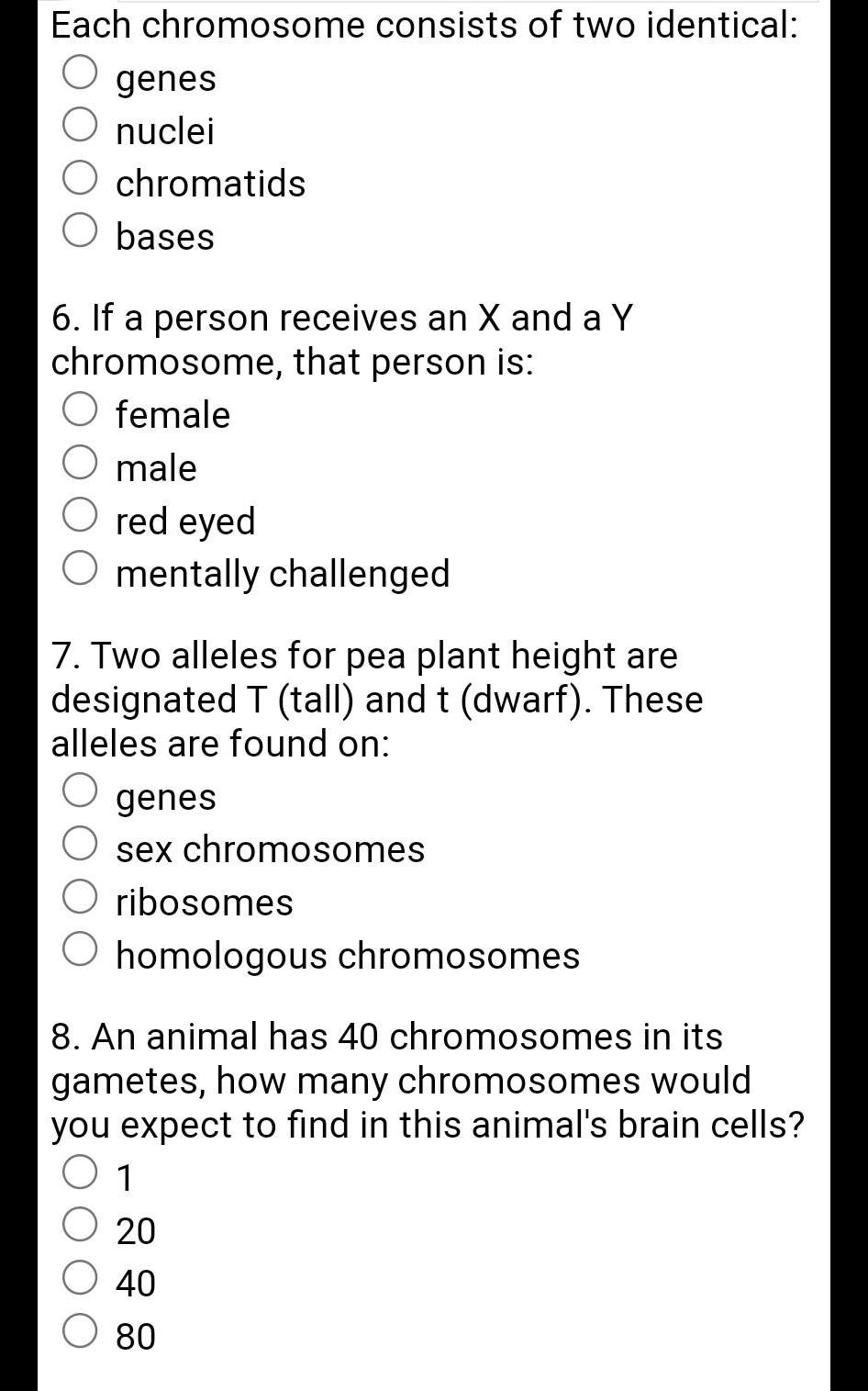 Quiz questions about chromosomes