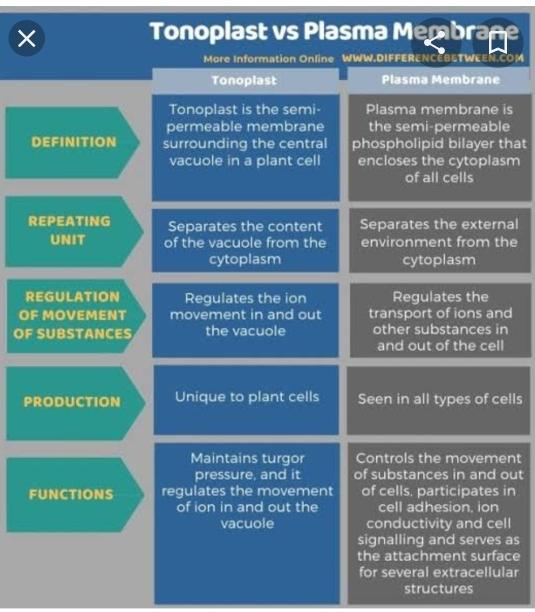 Explain overview of the various transport process on the plasma ...